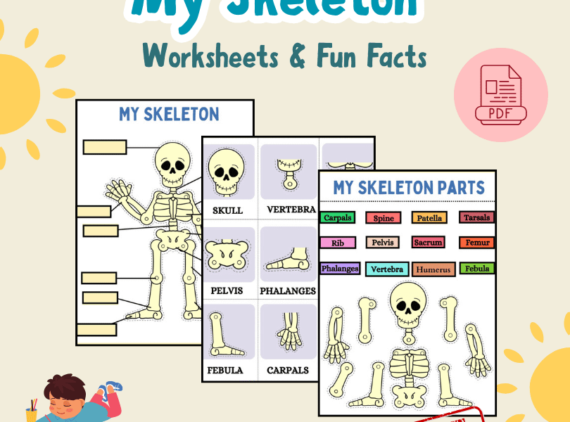 My Skeleton Worksheets and Fun Facts – SHOP