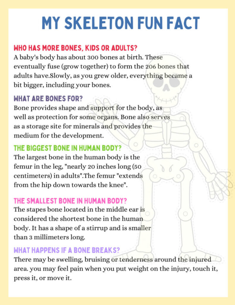My Skeleton Worksheets and Fun Facts – SHOP