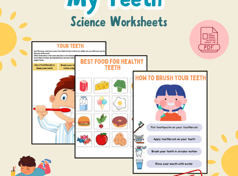 My Teeth Worksheet – SHOP