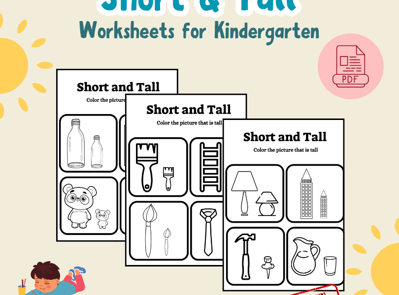 Short And Tall Worksheet For Kindergarten – SHOP